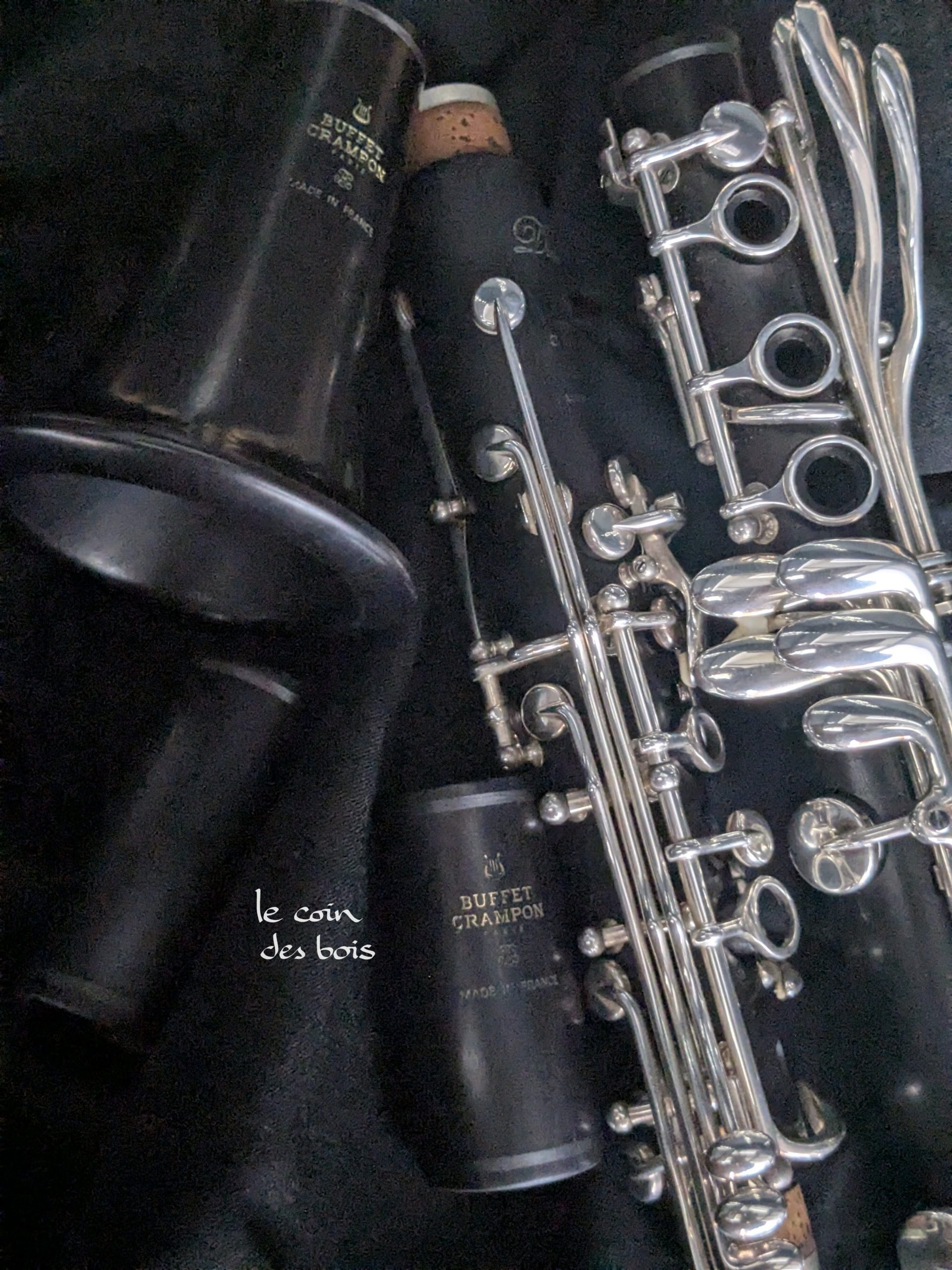 Clarinette Divine Buffet Crampon d'occasion